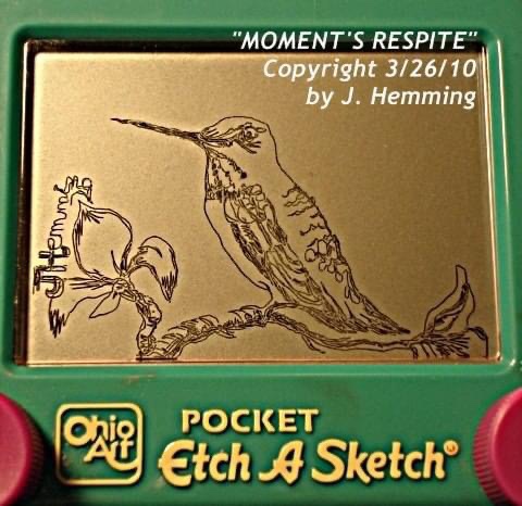 EtchArt Wildlife – Jeannie Hemming Art